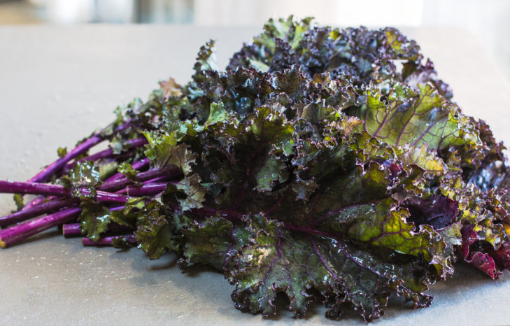 The Ultimate Kale Chip Recipes - A Zest for Life