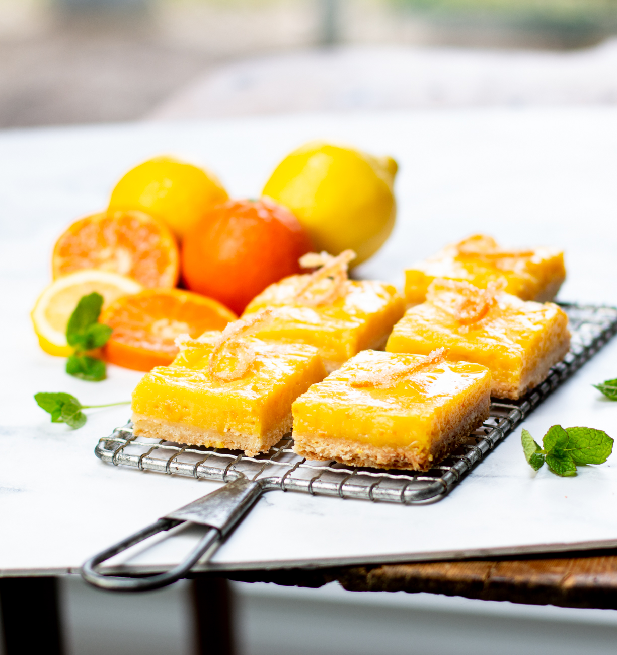 Karen’s Lucious Orange-Lemon Bars - A Zest for Life